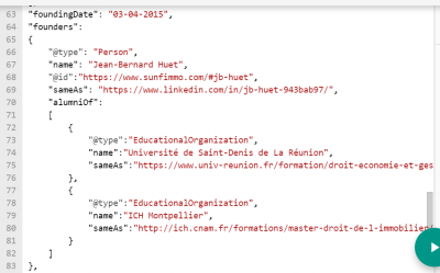How to use Schema.org structured data for companies and people